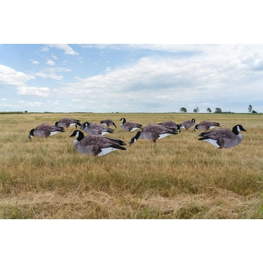GHG Pro Grade XD Canada Goose Decoys - Harvester 4 Pack, Soft-bodied ...
