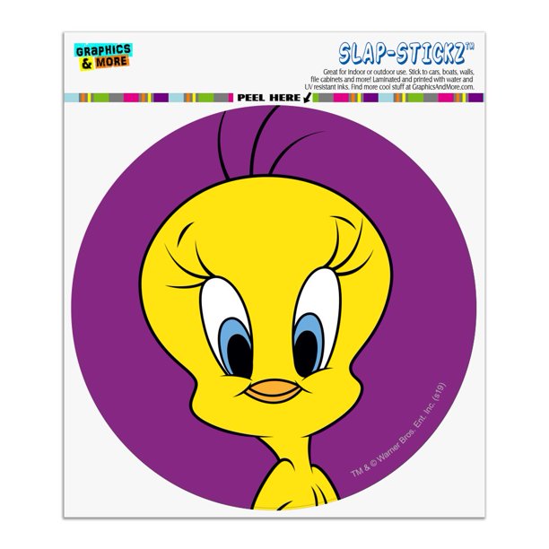 Looney Tunes Tweety Bird Automotive Car Window Locker Circle Bumper ...