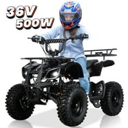 Tao Motor 125 T-FORCE Platinum 120cc Gas Powered Quad Wheeler All ...