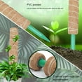 Cheers US Moss Pole for Plant Monstera, Plant Stakes Spagham Real ...