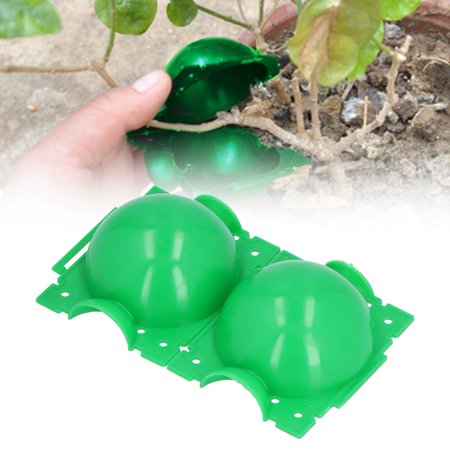 Haofy Plant Propagation Ball,Plant Germination Ball,10Pcs 12cm Plant ...