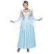 Adult Plus Size Classic Cinderella Princess Costume by California ...