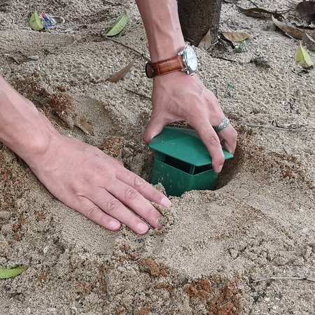 Snail Trap Set of 5 Snail Trap Starter Set Trap Garden & Lure Safe ...