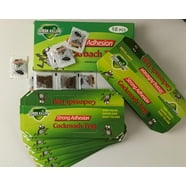 BUGMD Cockroach & Spider Catcher (2 Pack, 24 Traps) - Indoor Pest ...