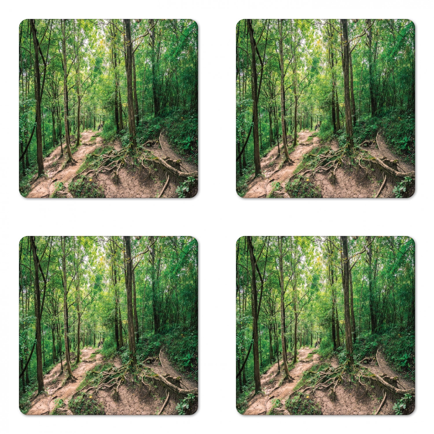 Forest Coaster Set of 4, Nature Picturesque Jungle on the Mountains ...