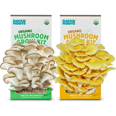 TRUE Morel Mushroom Indoor Grow Kit - Plant and Harvest at Home or ...