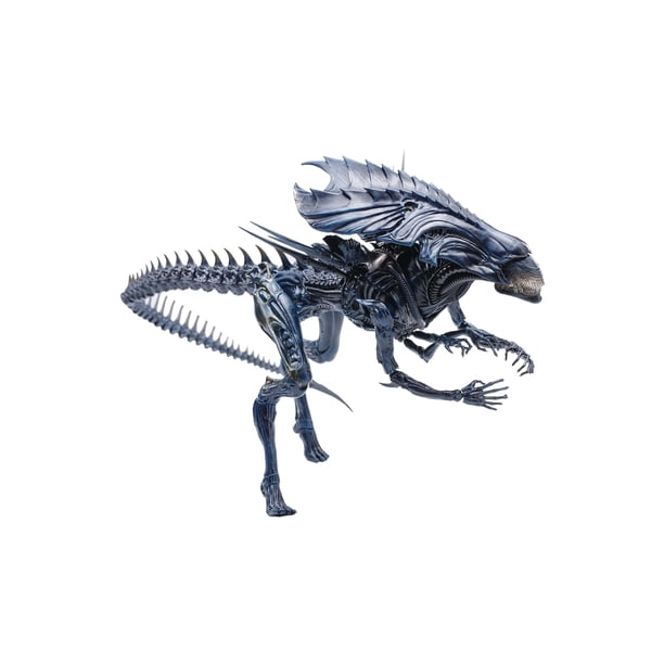 Predator Opposite