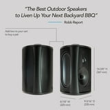 Definitive Technology AW 6500 Outdoor Speaker, Single, Black with BDSS ...