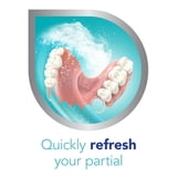 Polident ProPartial Antibacterial Foam Denture Cleanser - Mint Dental ...
