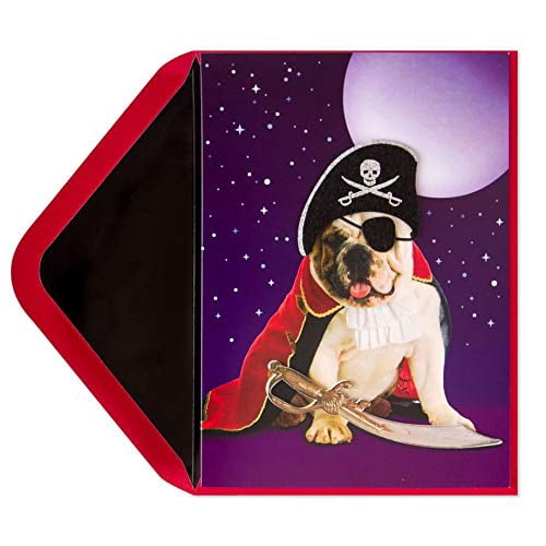 PAPYRUS Pirate Dog, 1 Each - Walmart.com