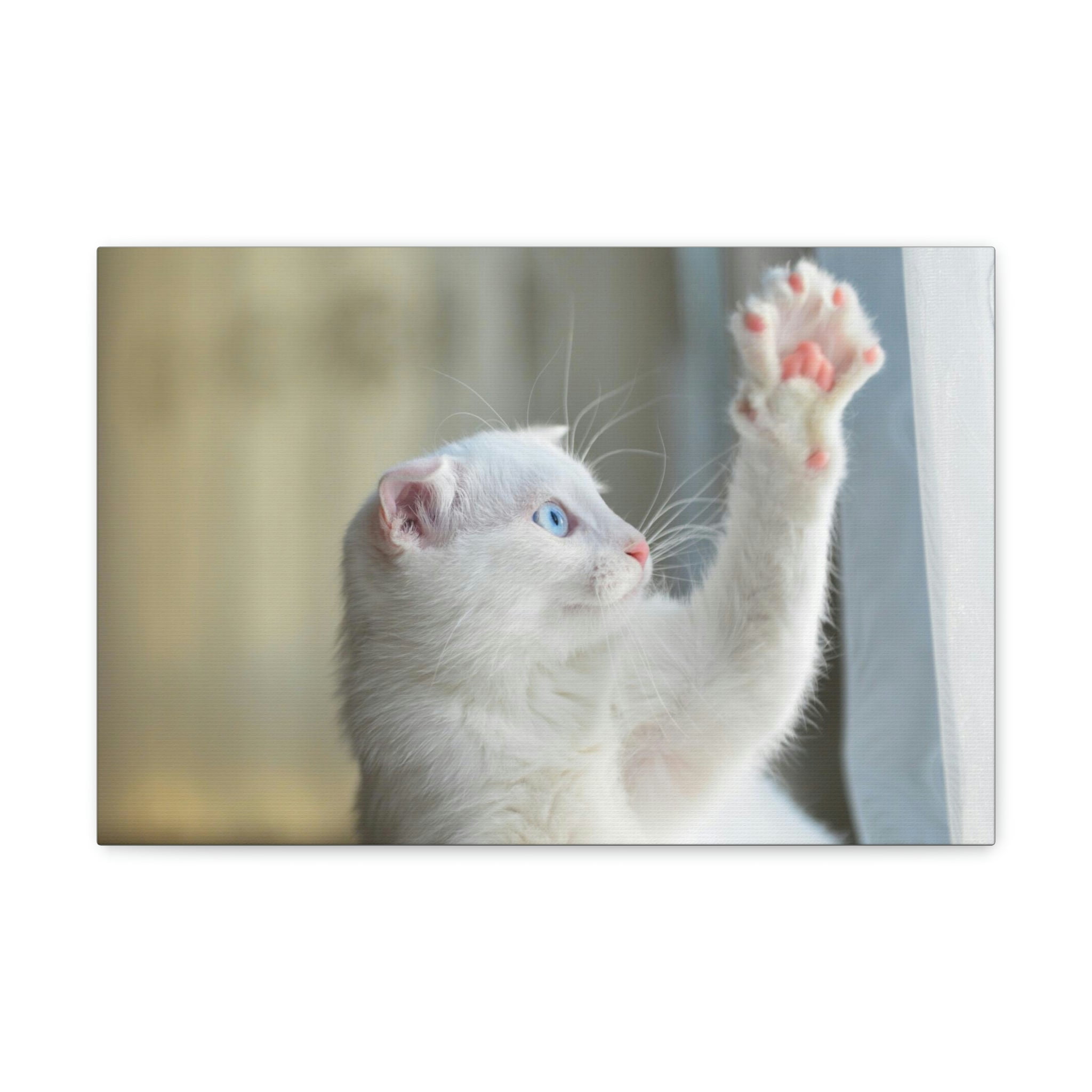 Funny Wild Cat Silly Wild Cat Inside Wall Art Ready to Hang Unframed ...