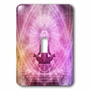 Yoga Switch