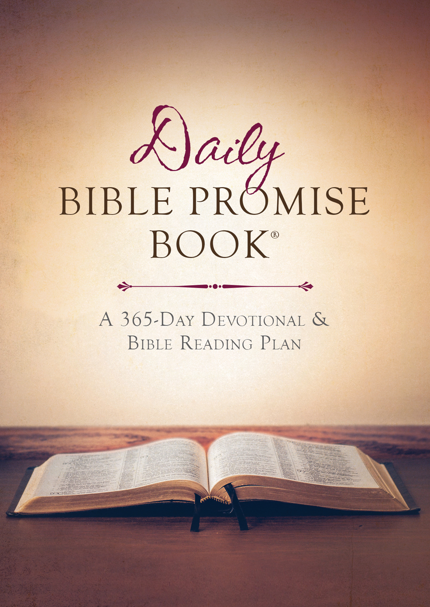 The Daily Bible Promise Book A 365 Day Devotional And Bible Reading The Daily Bible Promise Book A 365 Day Devotional And Bible Reading