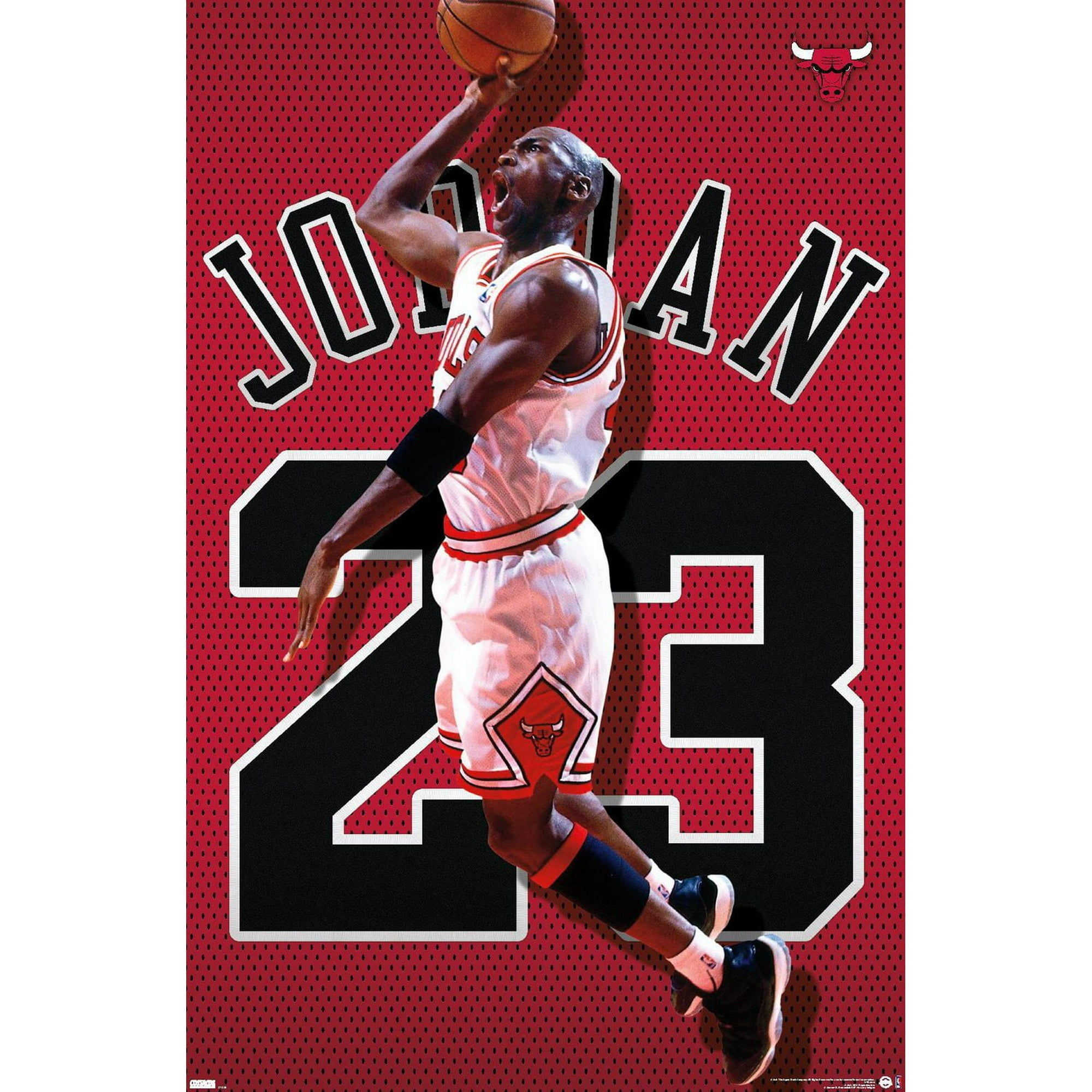 Click here for Trends International Michael Jordan - Jersey Wall... prices