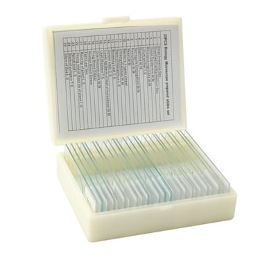25pc Glass Microscope Slides Prepared in Wood Case: Plant, Insect ...