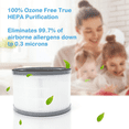 Air Purifier Replacement Filter, 3-in-1 High-Efficiency Activated ...