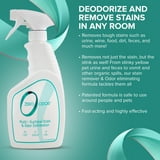 Zero Odor Multi-Surface Stain Remover & Odor Neutralizer Spray for ...