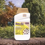 Shot-Gun Natural Animal Repellent Concentrate - Deterrent for Rodents ...