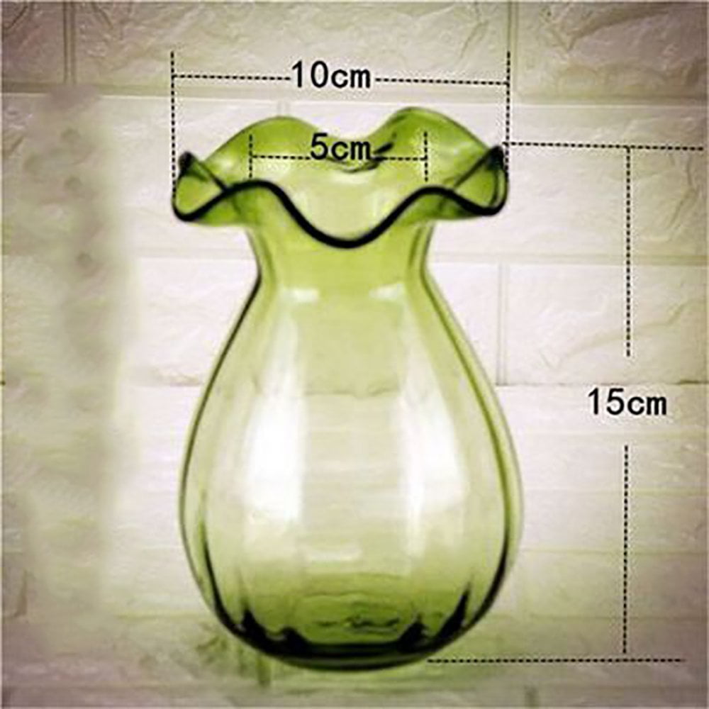 Mr. Garden Glass Water Flower Pots, Planter Glass Bottles,Hydroponics ...