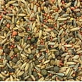 Whitetail Deer Food Plot Seed | Turnip Radish Clover Wheat Rye Oats Mix ...
