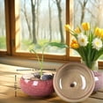 6pcs Resin Succulent Plant Pots with Drainage Holes, Colorful ...