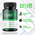 LipoFit Advanced Formula Pills Supporting Energy and Healthy Lifestyle ...