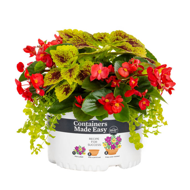 Containers Made Easy with Better Homes & Gardens 1.5 Gallon Multi-color ...