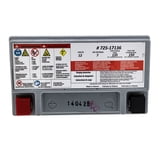 CUB CADET 725P17136 Battery AGM 7AHR CC 30 H Hydro Mini Rider - Walmart.com