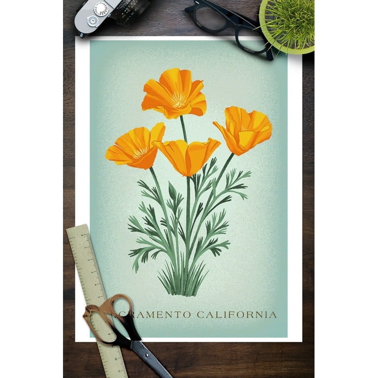 California Poppies Art