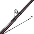 Light BerryPro Surf Spinning Rod, Carbon Fiber Casting Fishing Travel ...