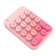 6160RFC Deluxe Custom Alpha Keypad with Integrated Receiver for VISTA ...