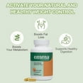 2Pack Emma Gut Health - 120 Count (60 Caps Per Bottle) - Konsciens Keto ...