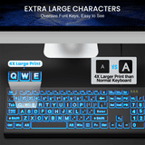 Wagpak Large Print Backlit Keyboard, Wired USB External Keyboard, 7 ...