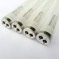 Master of Light F40T12 Cool White Fluorescent Tubes, 4-Pack, 48-Inch, 40W, 4100K, 3200 Lumens ...