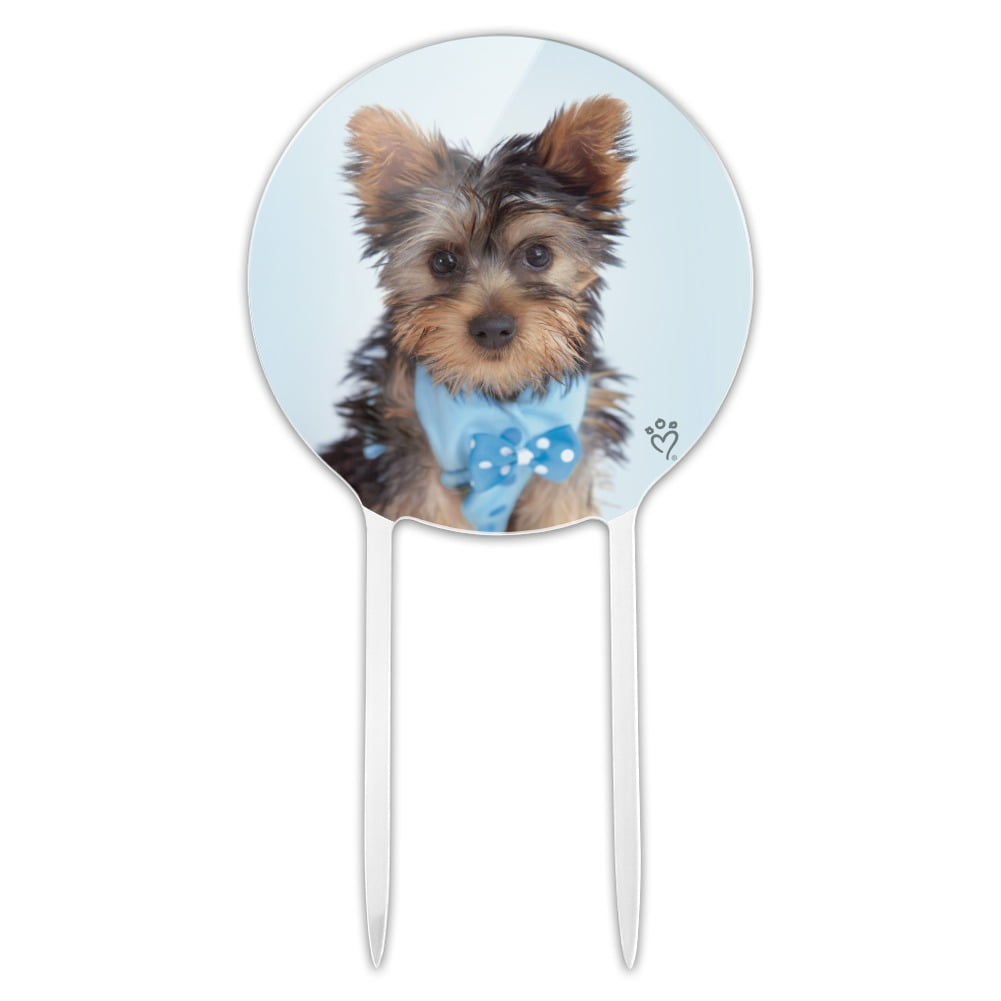 Acrylic Yorkie Yorkshire Terrier Puppy Dog Blue Bow Tie Cake Topper ...