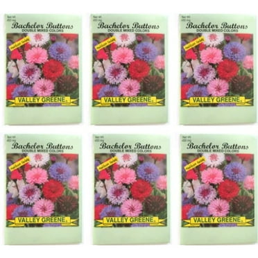Bachelors Buttons Flower Garden Seeds - Mixed Colors - 3 Gram Packet ...