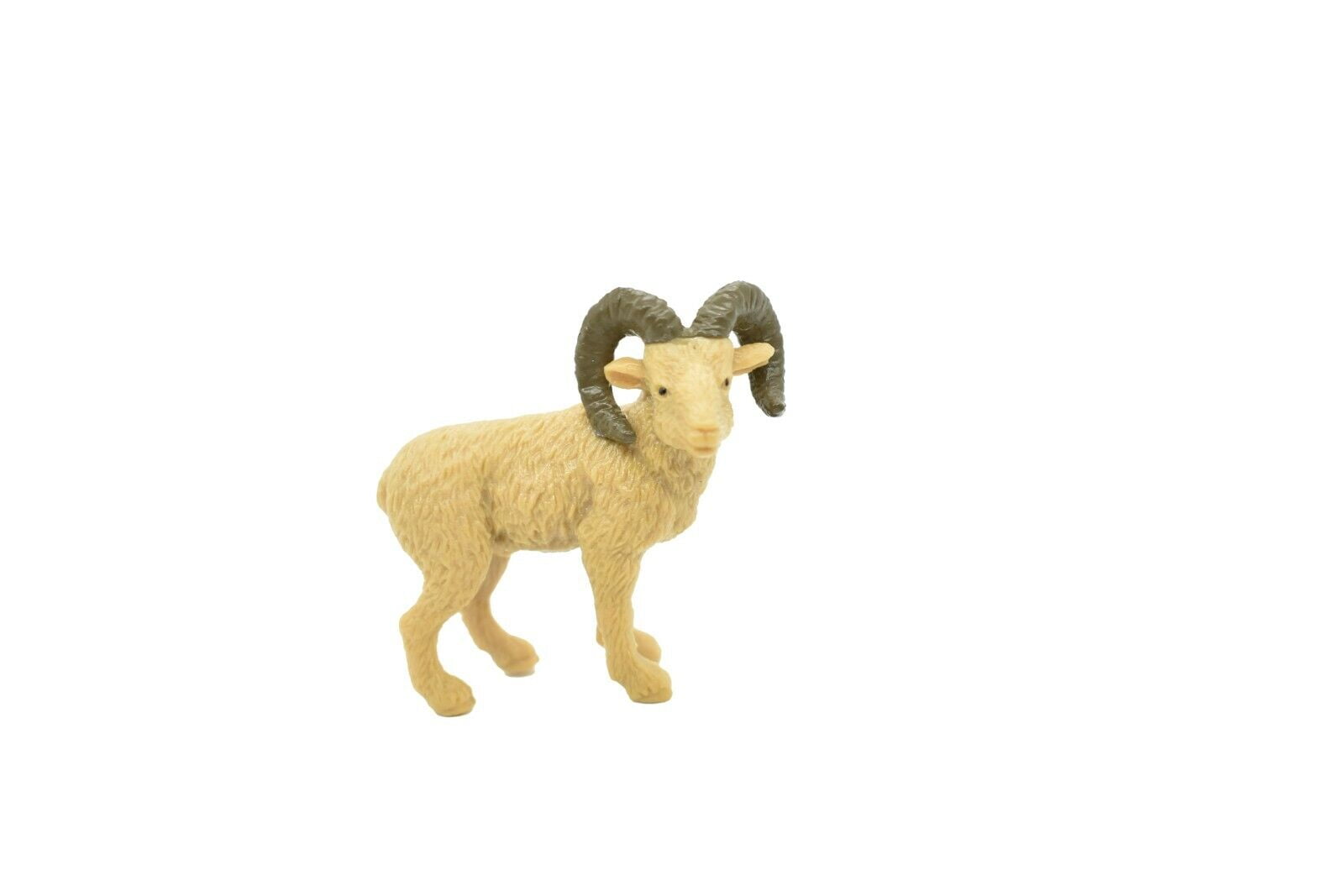 Bighorn Sheep, Very Nice Plastic Animal, Educational, Toy, Kids ...