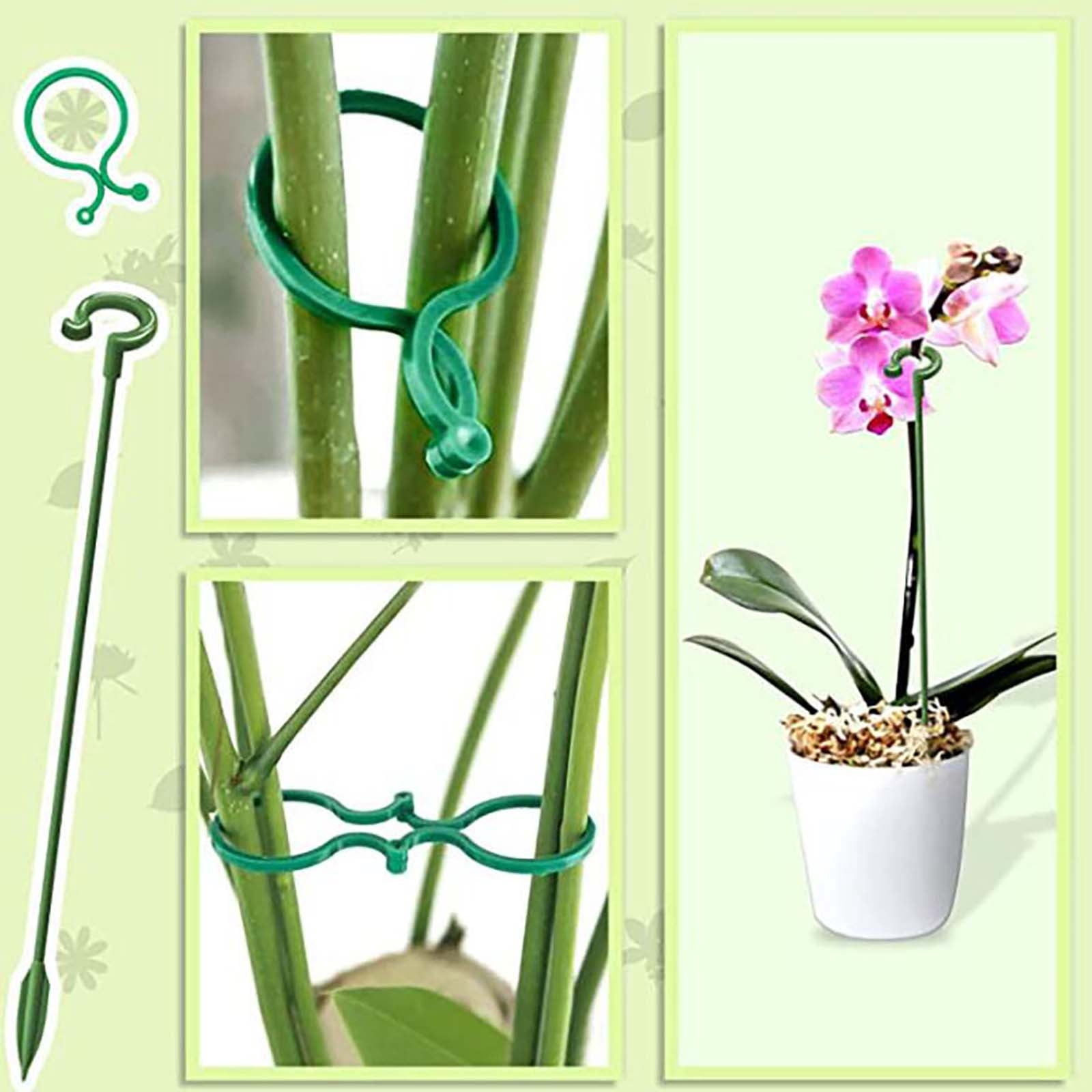 Buy Garden Single-stem Plant Support Frame Support Ring Plant Flower ...