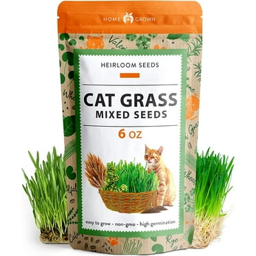 Cat Grass Mix, 16 oz - Grow Cat Grass Sprouts for your Cat. Seeds for ...