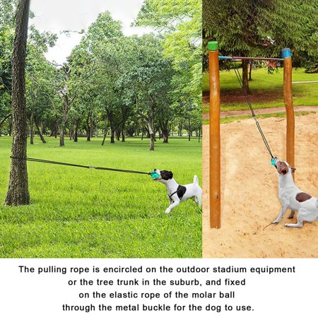 Hottest Pet Dog Stakes Tie Out Cables Complete Tether System For Small ...