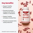 HumanN SuperBeets Beet Root Extract Supplement Pills - Healthy Blood ...