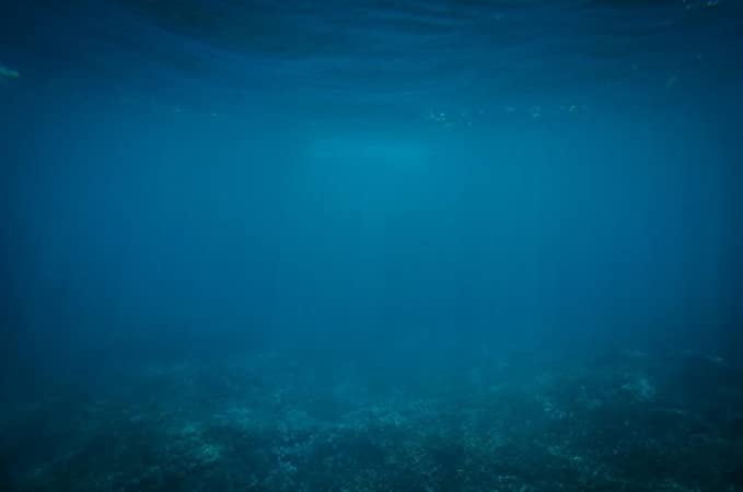 Iconic Arts Laminated 36x24 inches Poster: Underwater Blue Ocean Sea ...