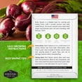 2 Packs Ruby Queen Red Beet Seeds - Non-GMO Heirloom Full Sun Biennial ...