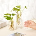 6pcs Glass Cylinder Vases 3 Styles Column Glass Vase Decoration Clear ...