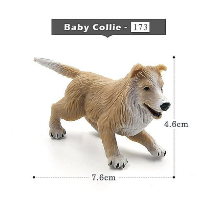 Komodo Dragon Wolf Dog Cat Sloth Rabbit Lizard Parrot Cormorant Fox/38 ...