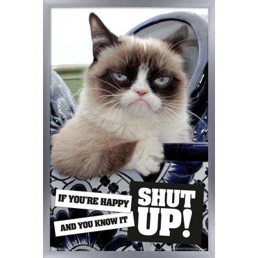 Grumpy Cat - Fun Wall Poster, 22.375" x 34", Framed - Walmart.com