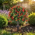 Artificial Boxwood Ball Topiary Stakes for Outdoor Garden Decoration UV ...