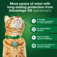 Advantage XD Large Cat 2-Month Flea Prevention For Cats over 9lbs, 1 ...