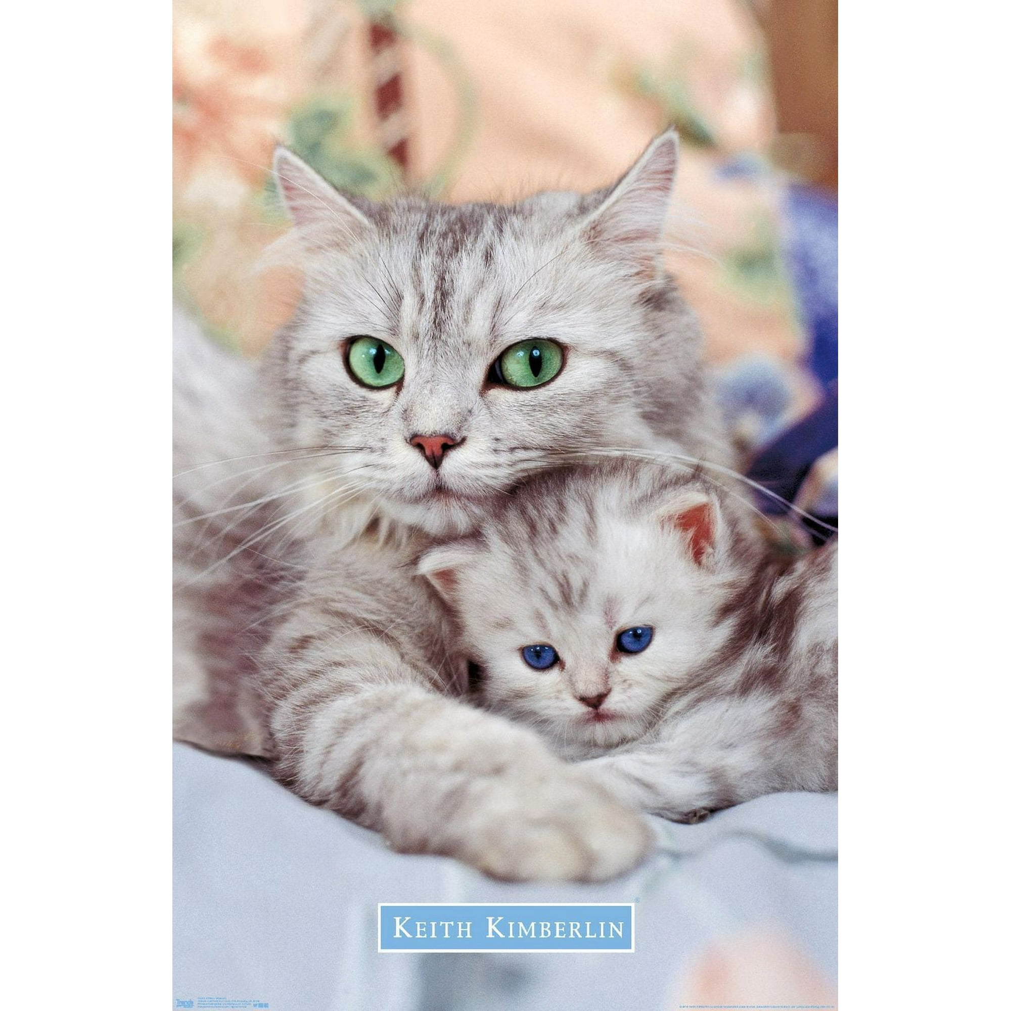 Click here for Trends International Rick And Morty - Greetings Wa... prices