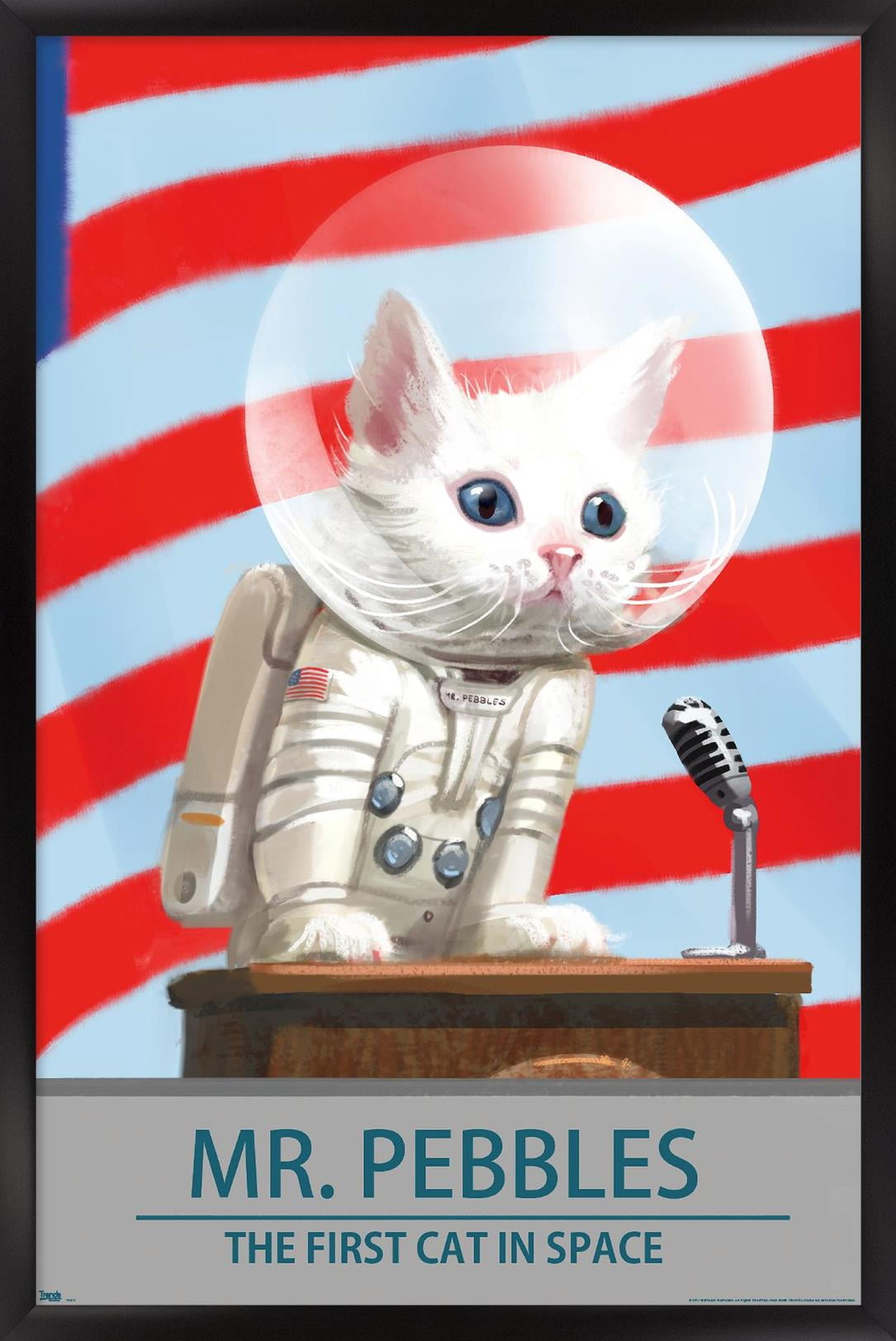 Fallout 4 - Mr. Pebbles - The First Cat In Space Wall Poster, 22.375" x ...